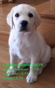 EfficientNet – PyTorch